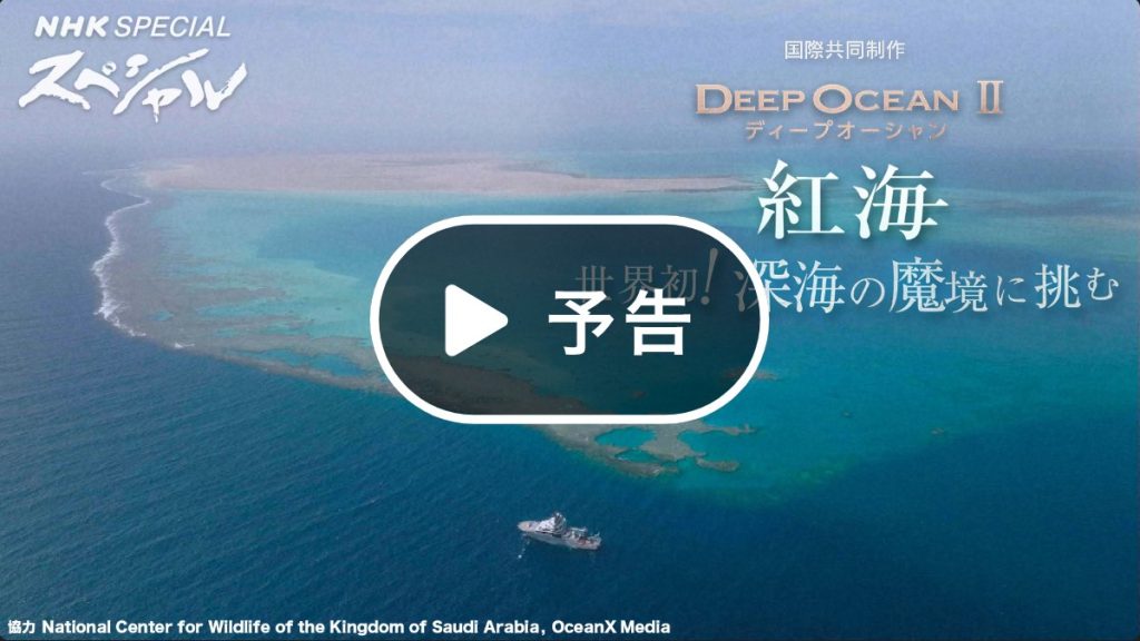 Info. 2023/03/19 [TV] NHK「ディープオーシャンII」放送決定! 音楽：久石譲 【7/27Update!!】 – 久石譲ファンサイト 響きはじめの部屋