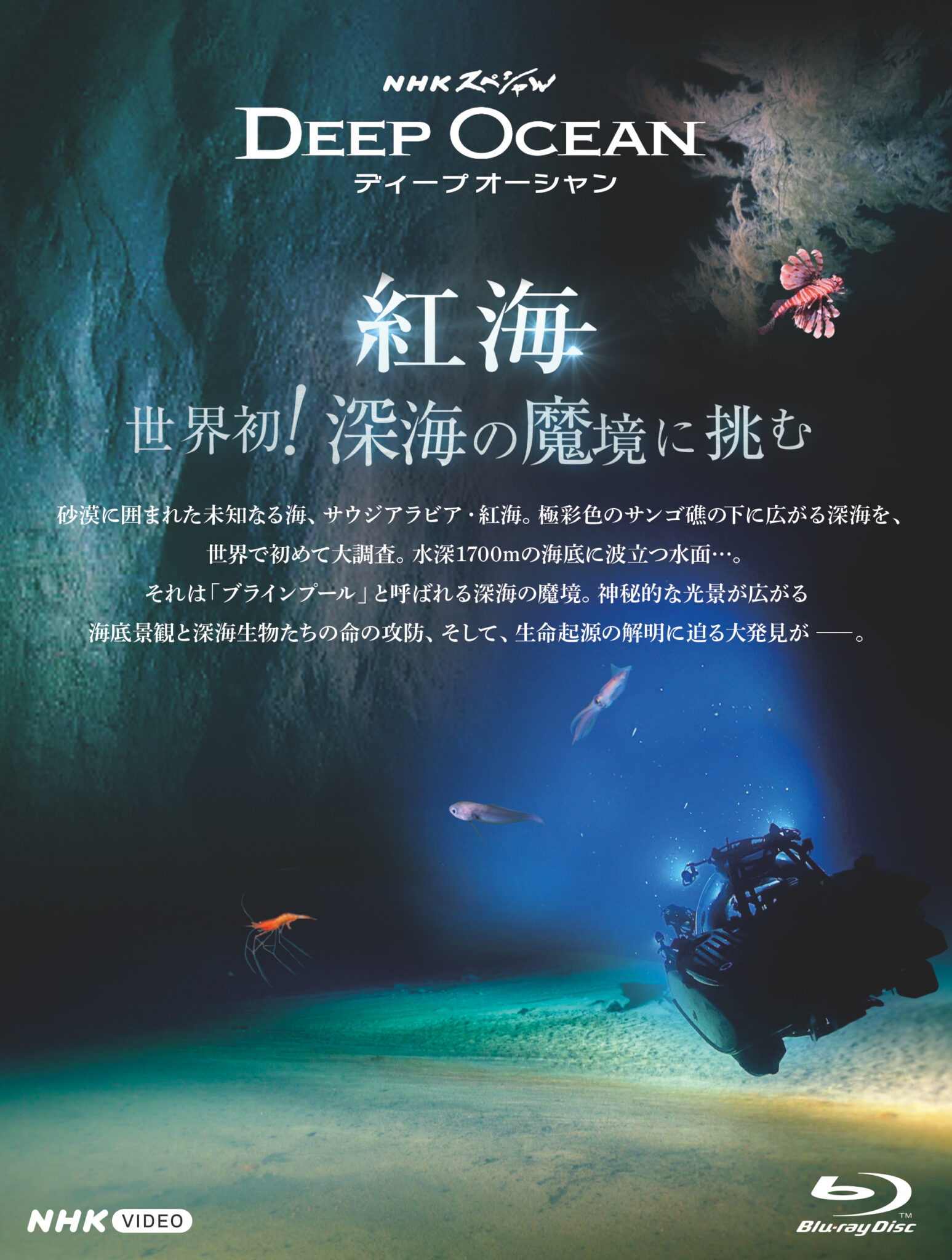 Disc. 『NHKスペシャル ディープオーシャン 紅海 世界初! 深海の魔境に挑む』 – 久石譲ファンサイト 響きはじめの部屋